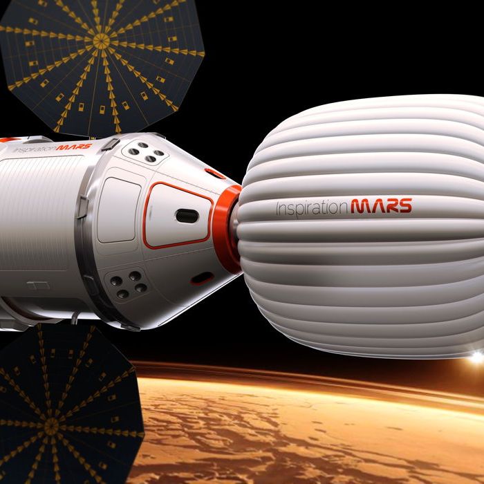 Dennis Tito Mars Mission