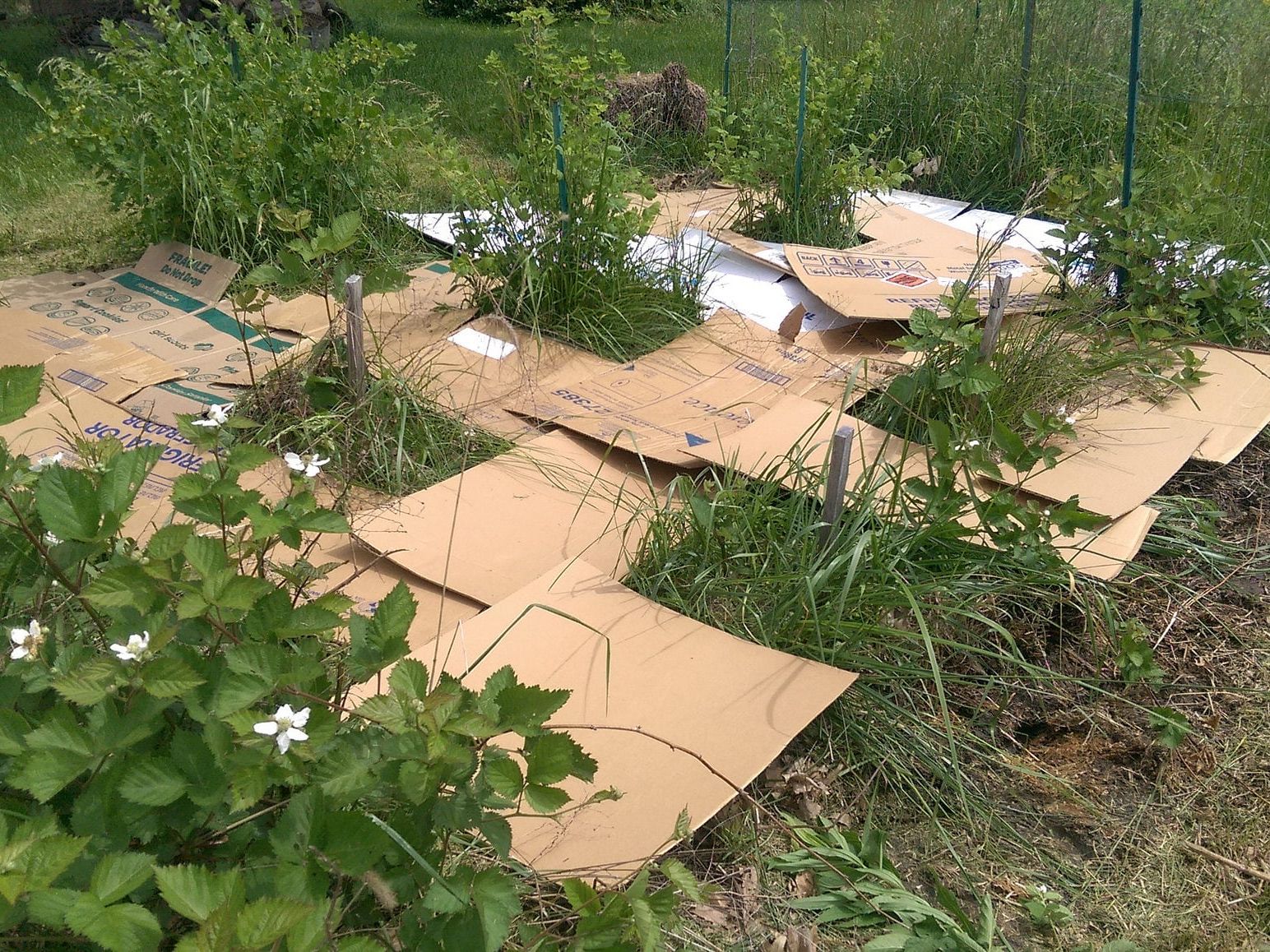 Sheet Mulching Cardboard How To Use Cardboard Boxes In Your Garden