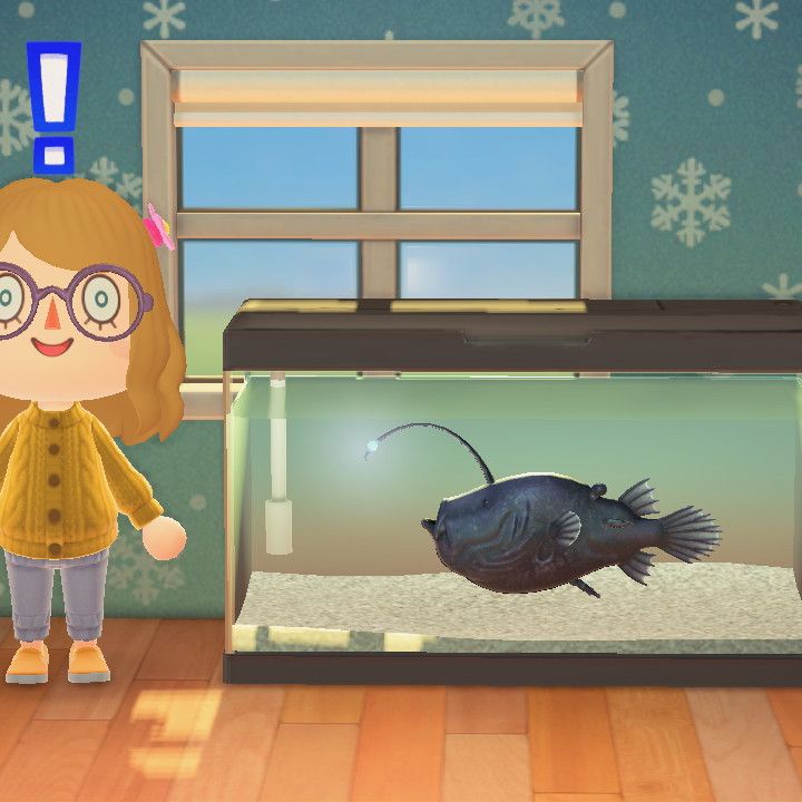 Football Fish Acnh