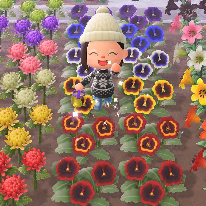 What Are The Different Types Of Flowers In Animal Crossing - Infoupdate.org