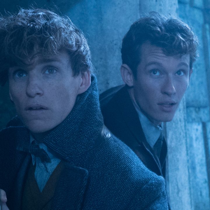 Oblivion Theseus Scamander Fantastic Beasts: The Crimes Of Grindelwald