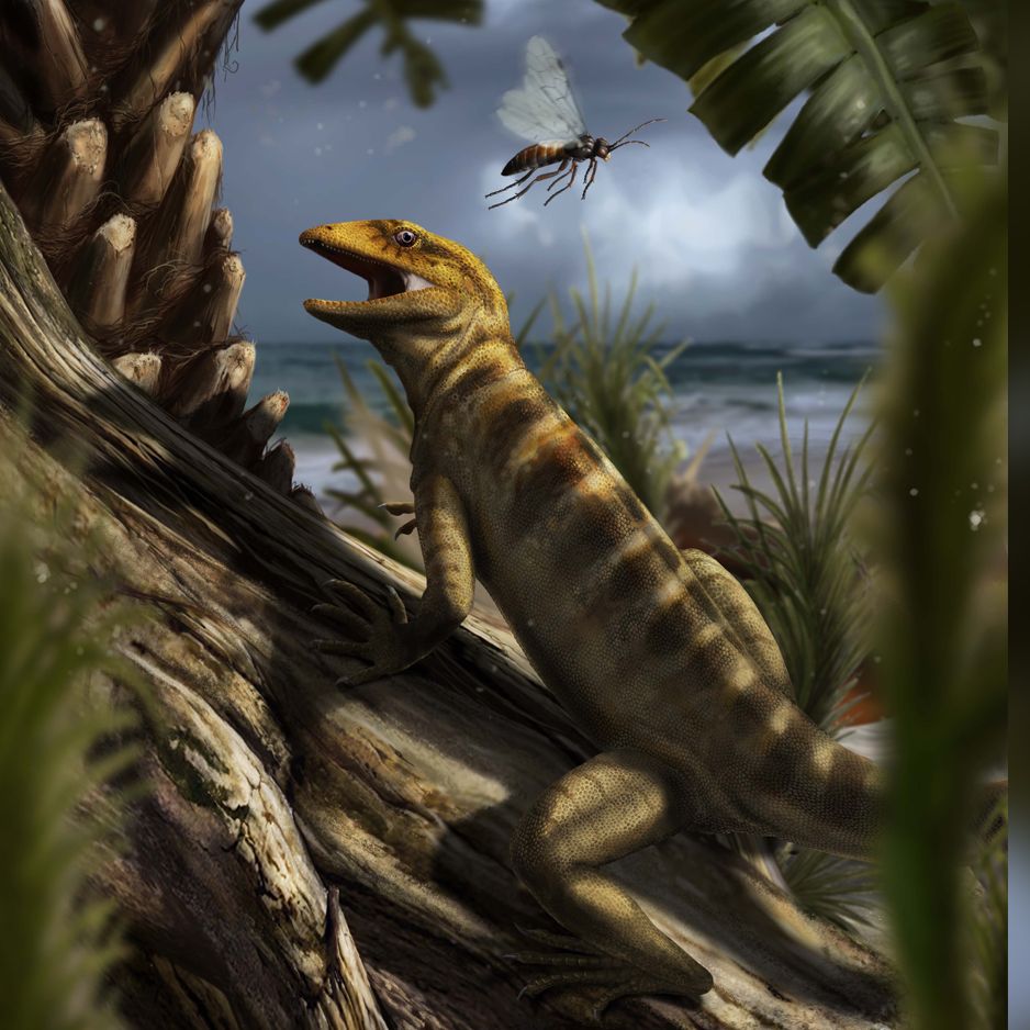 Once There Was A Lizard