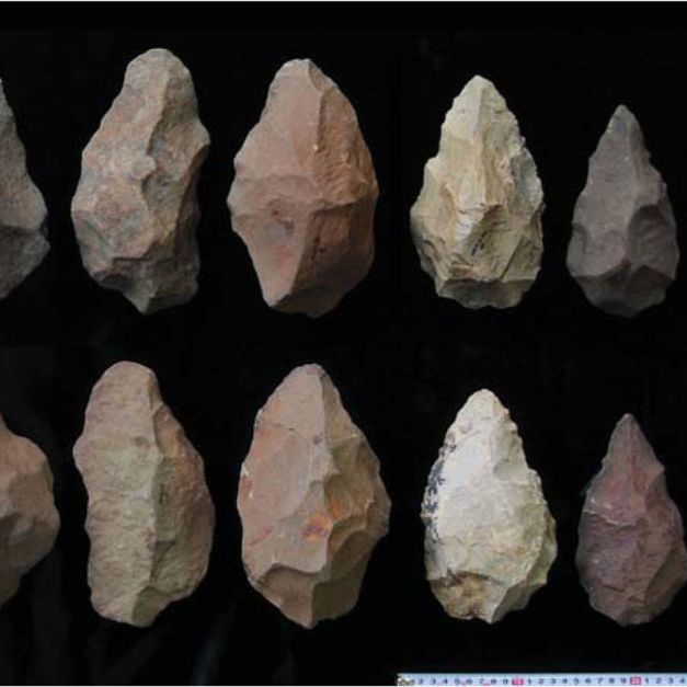 Homo Habilis Tools
