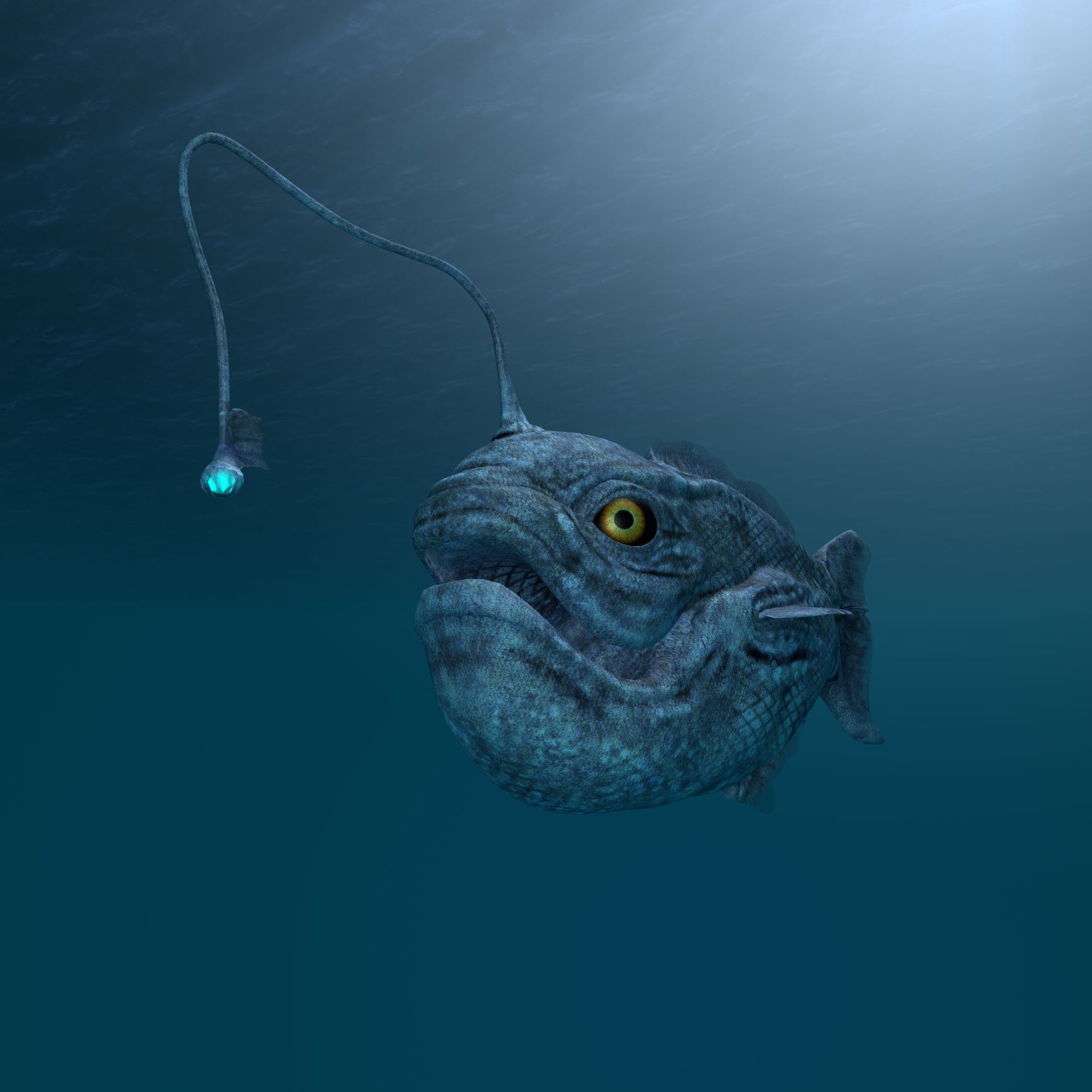 Fish Underwater With Light