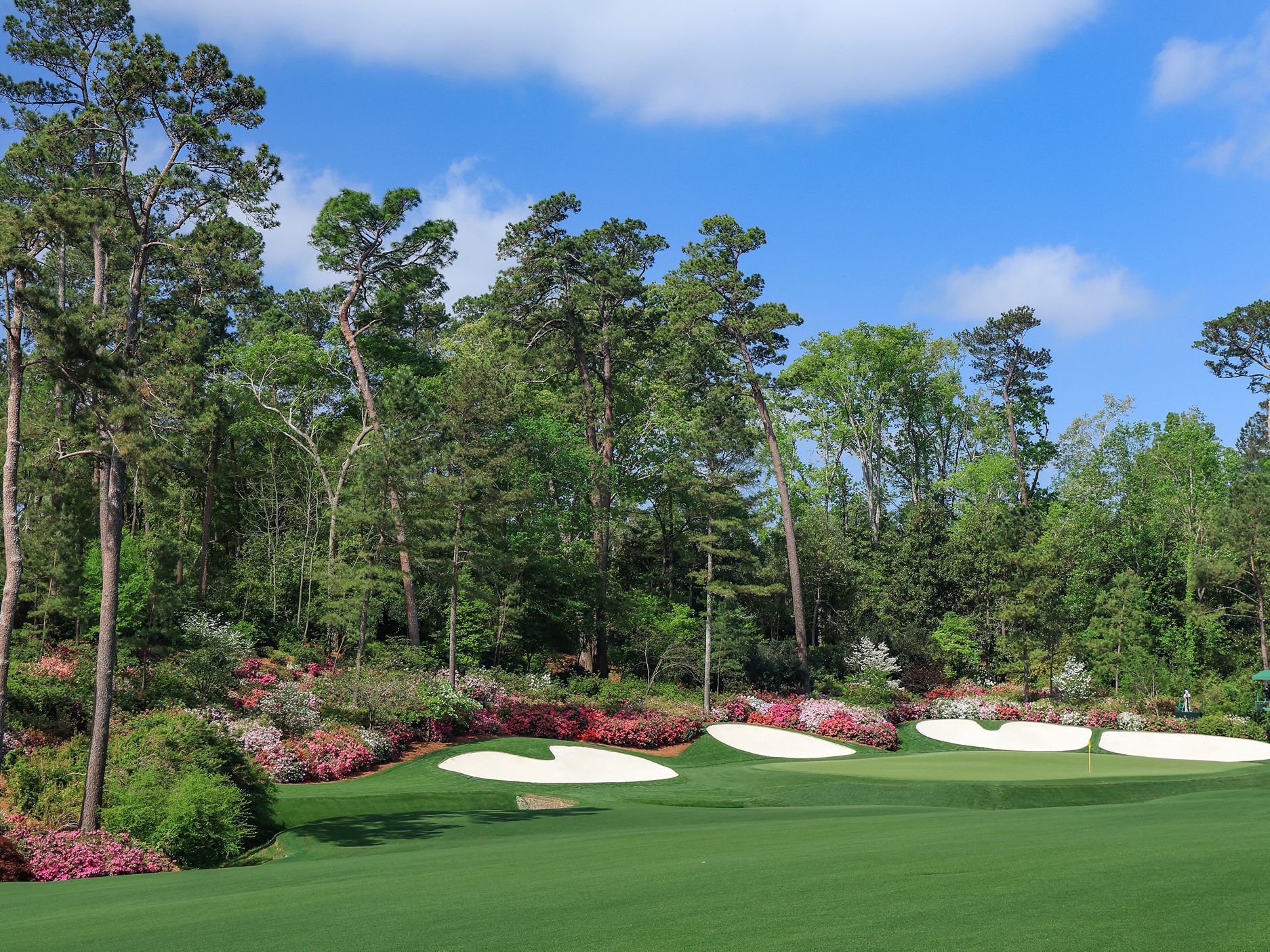 Augusta State Golf