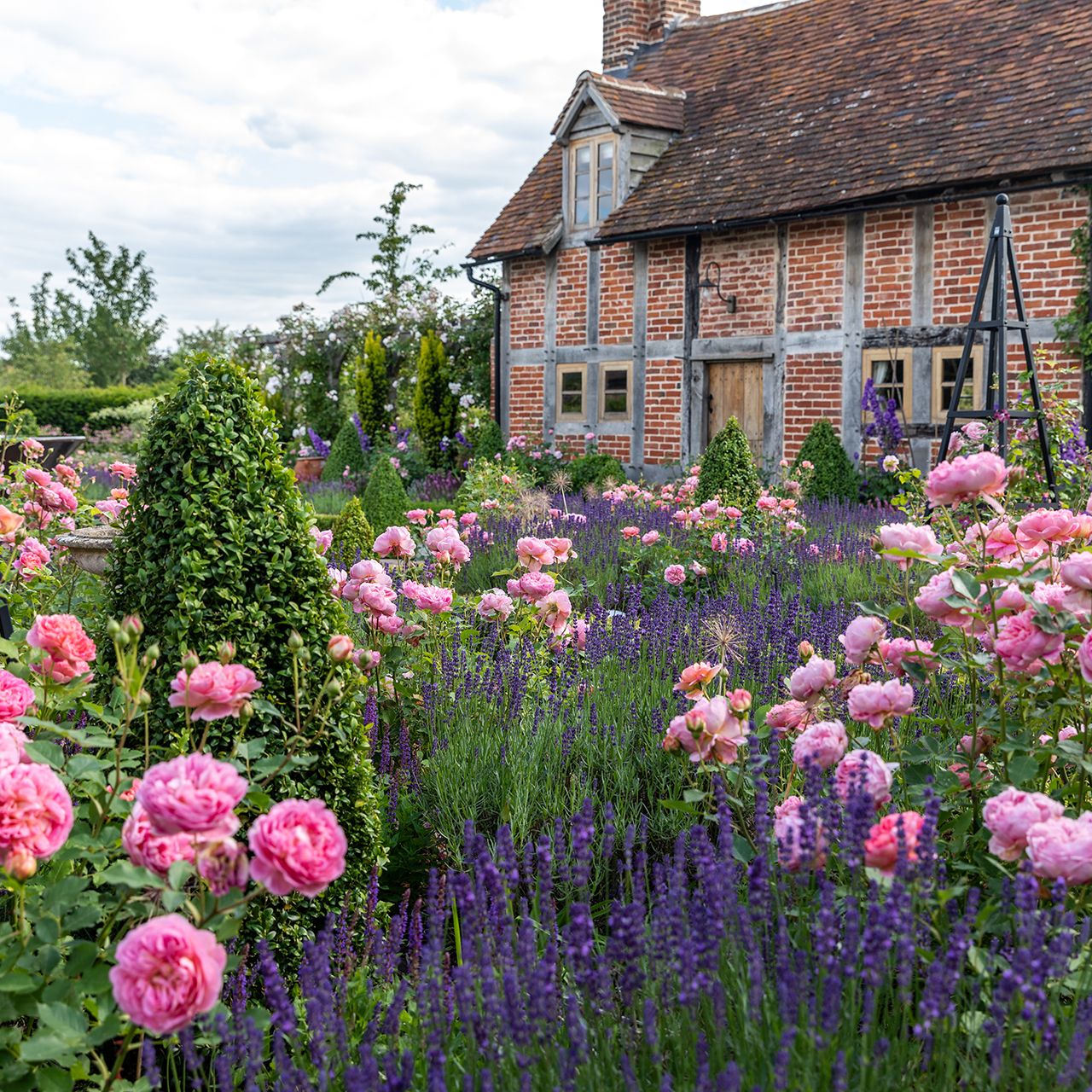 Pretty Rose Garden Plans