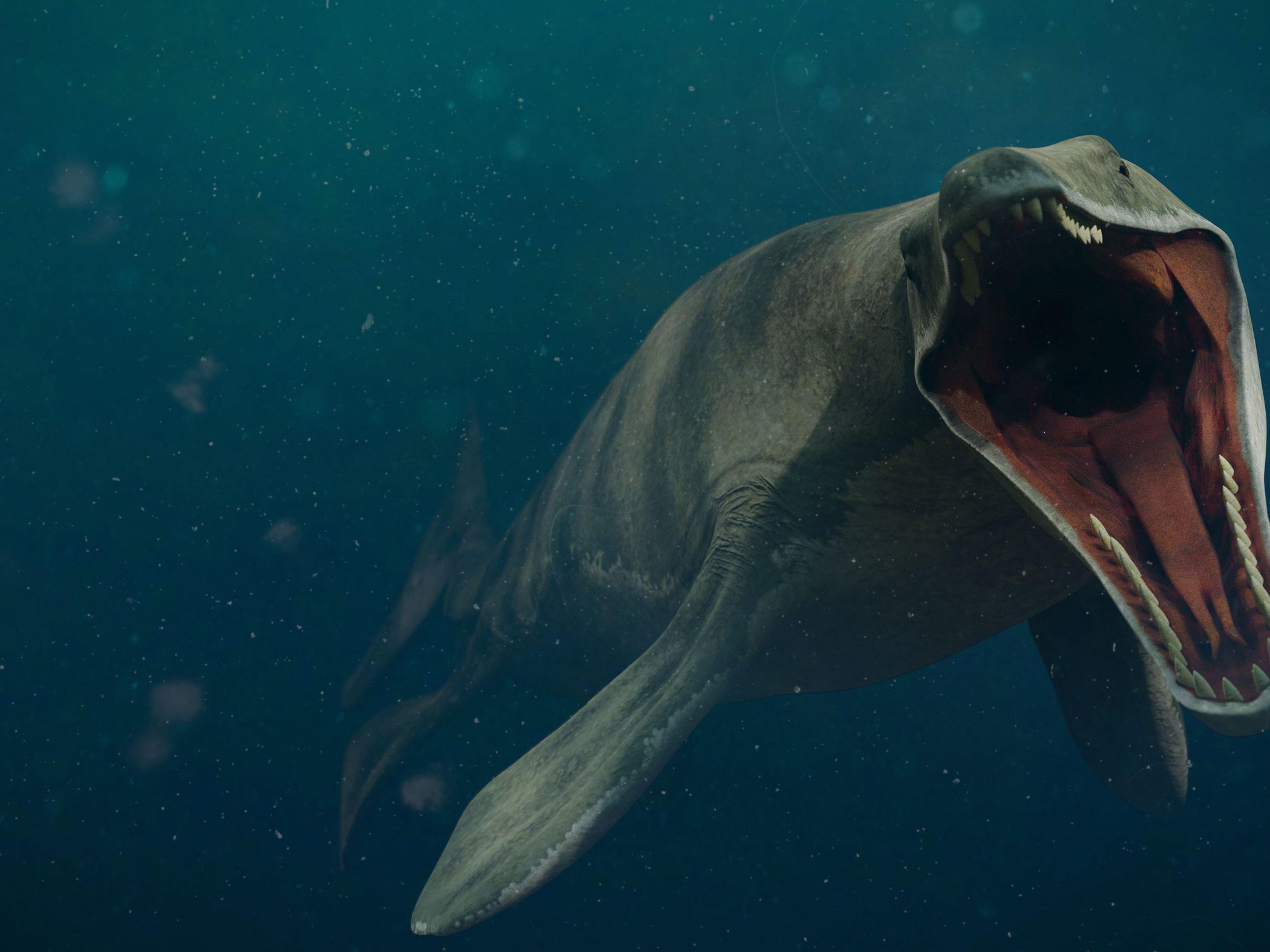 Mosasaurus Size