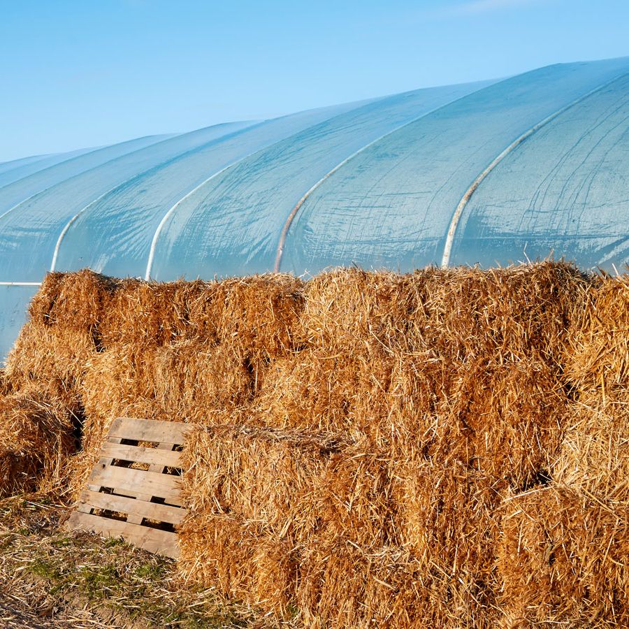 Creating A Hay Bale Garden Hay Bale Gardening Straw Bale Gardening