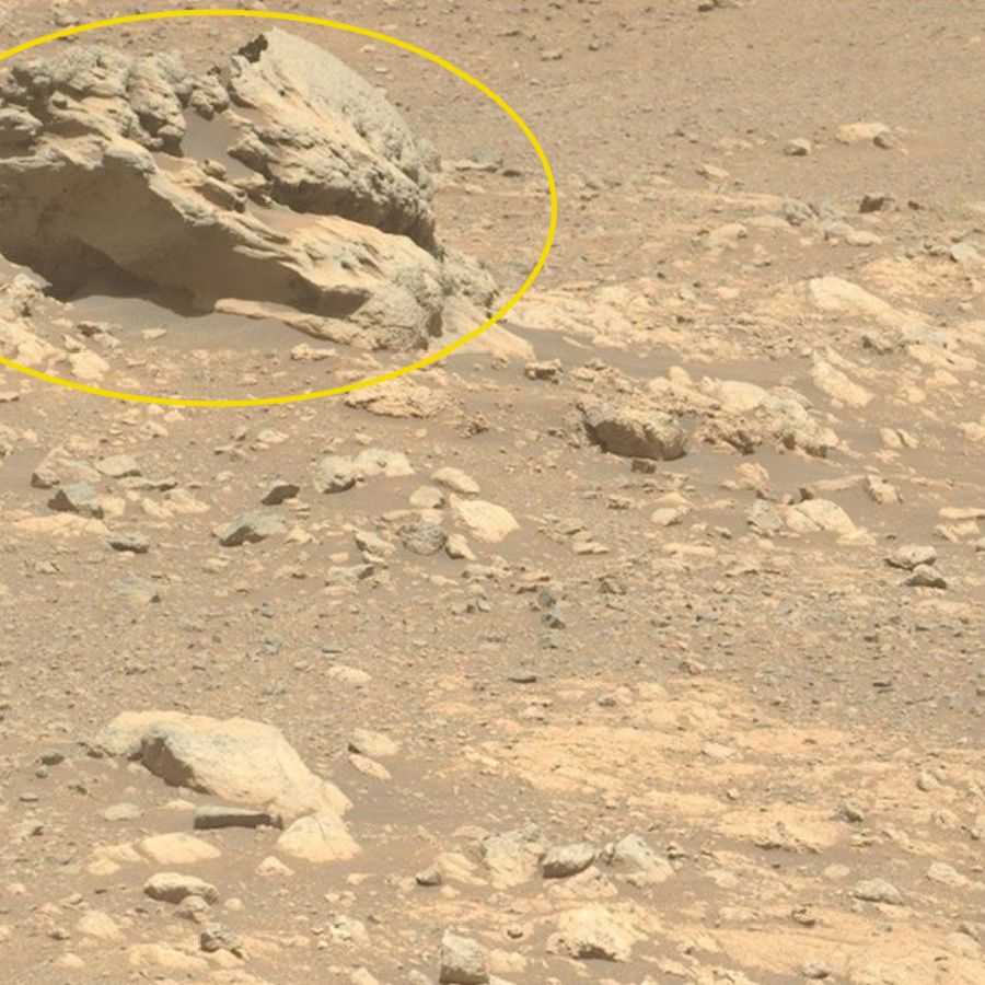 Nasas Rover Spots Enigmatic Walking Creature On Mars