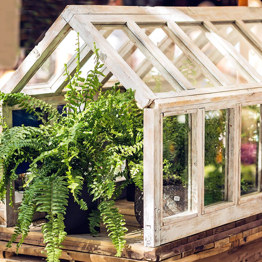 Mini Greenhouse Plans Mini Greenhouse Plans YouTube