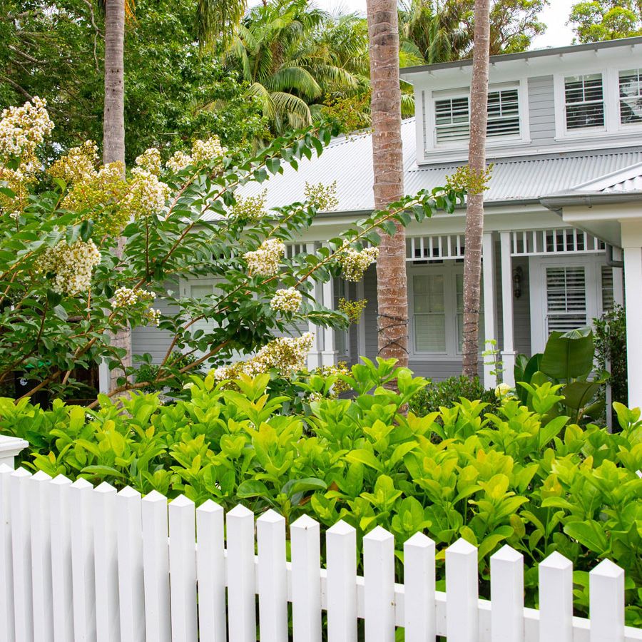 10 Clever Tips For Landscaping Around Trees Trees For Front Yard