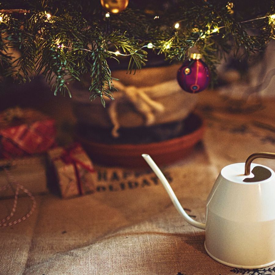 Christmas Tree Watering Tips
