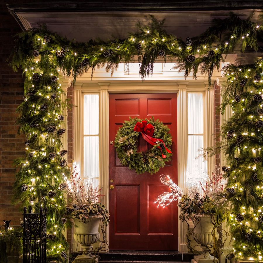 Chicken Wire Christmas Lights