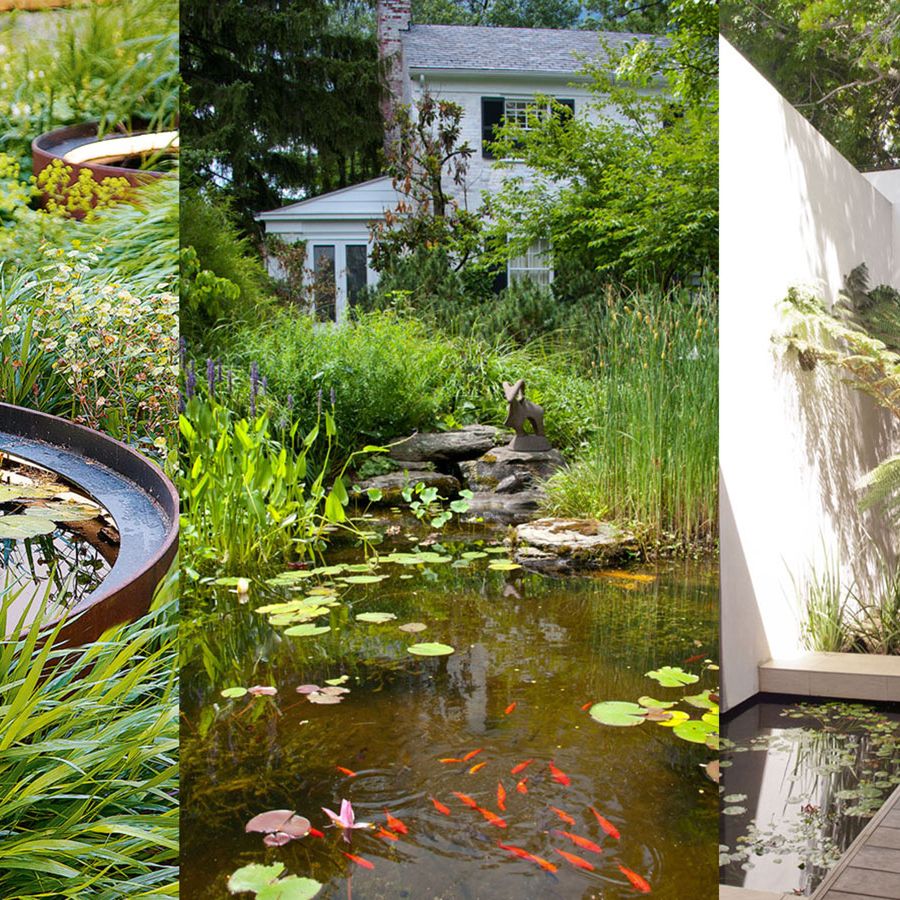 Tim Fish Garden Design Magazine