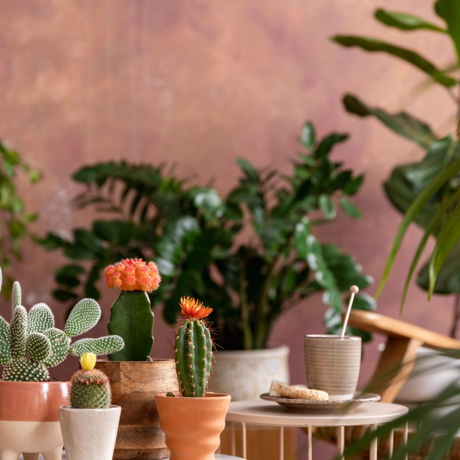 Simple Indoor Garden Ideas Indoor Vertical Garden Concept With