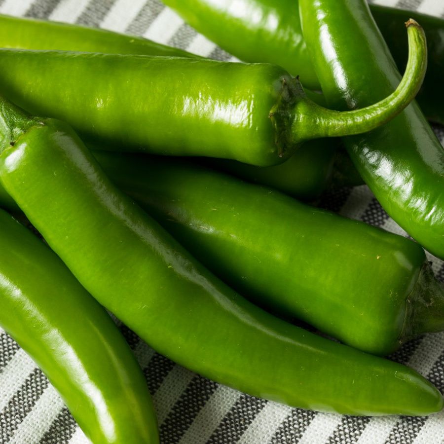 When To Pick Serrano Peppers