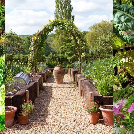 Modern Vegetable Garden Layouts