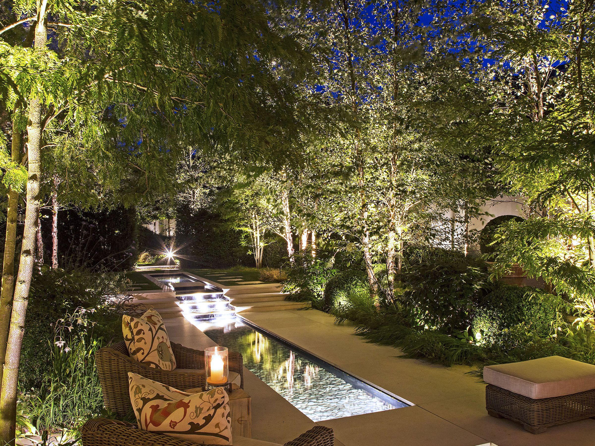 Interior Accent Lighting Trees Architectural Tree Lighting Guide