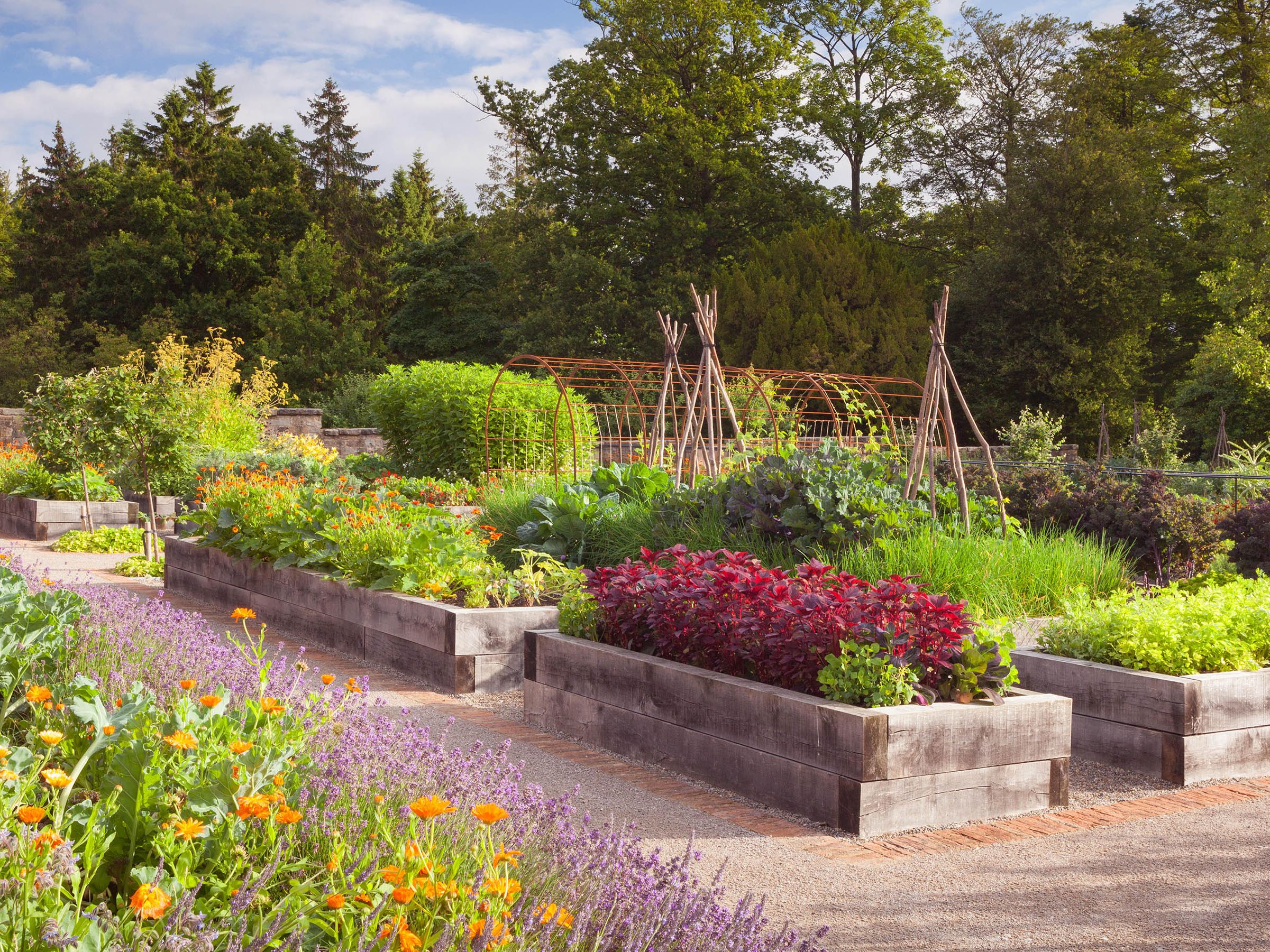 Formal Raised Garden Beds