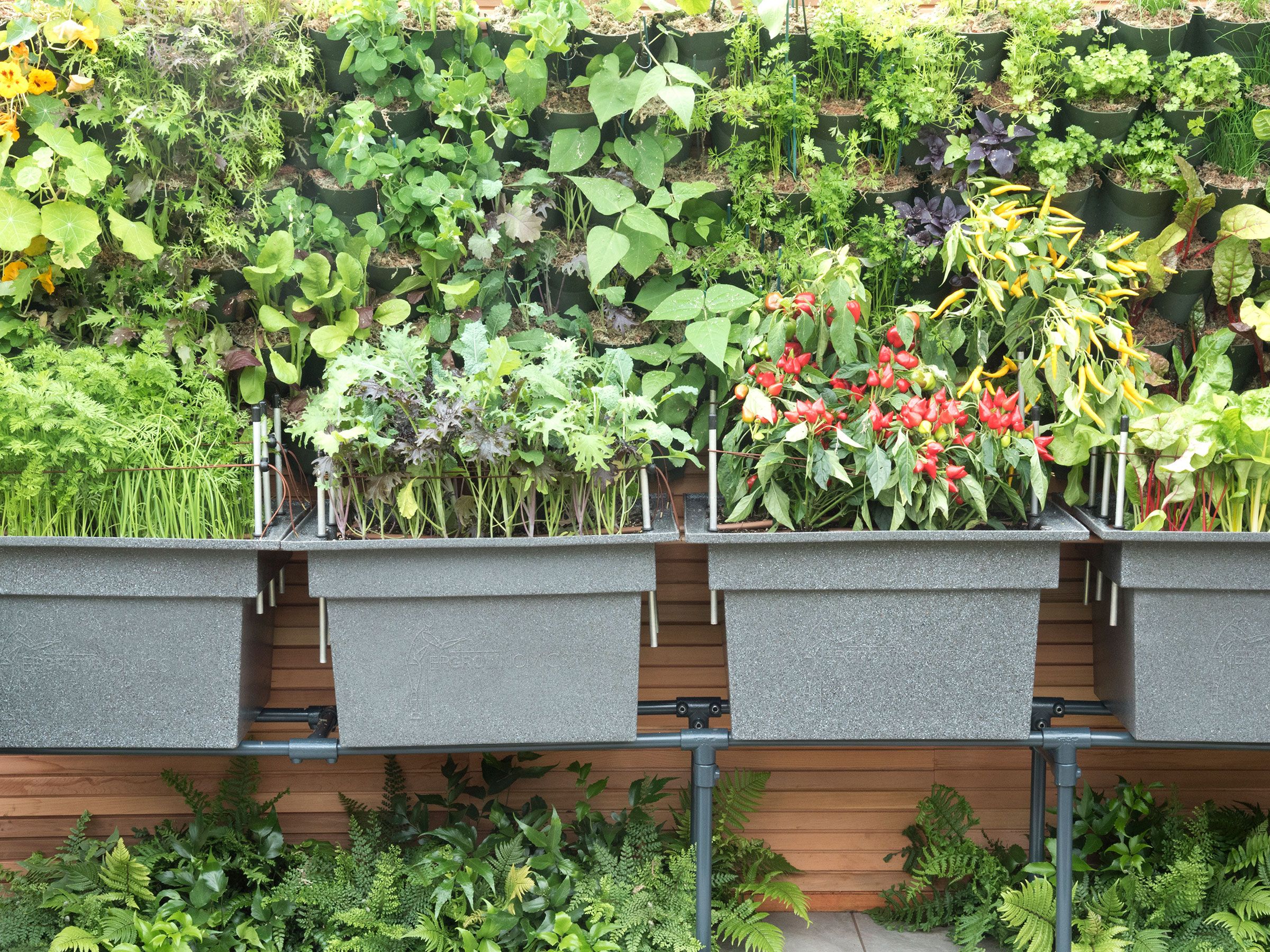 Vertical Vegetable Garden Wall Ideas