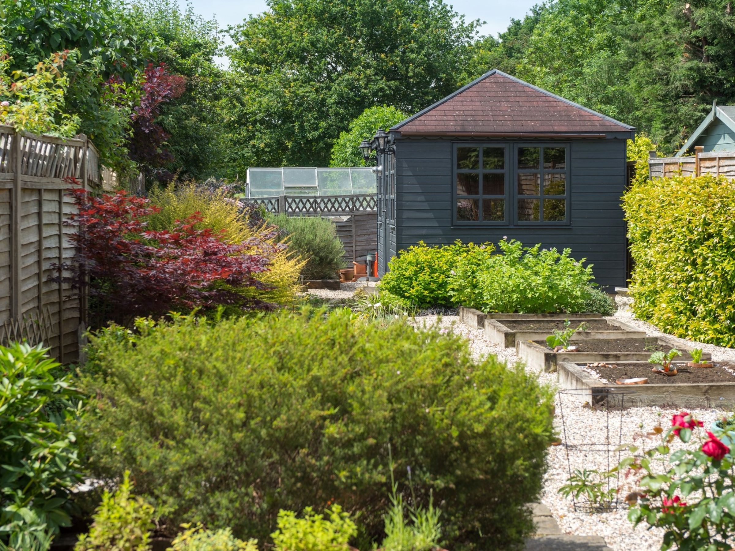 Using Landscaping Without Grass