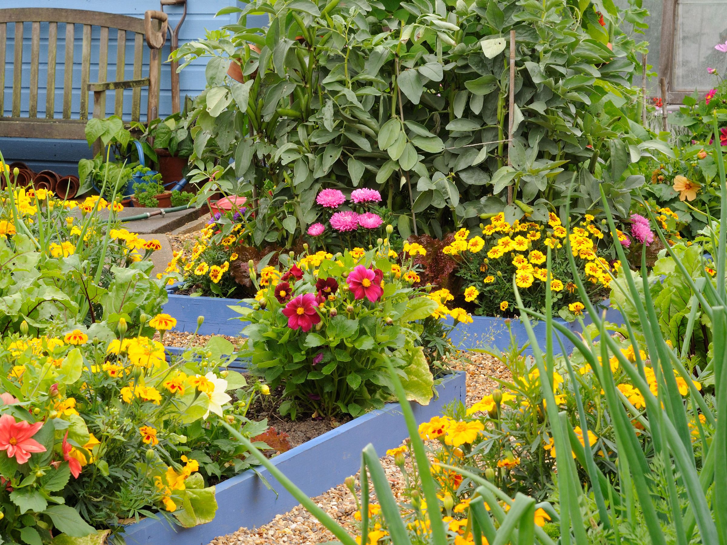 Potager Garden Layout How To Design A Potager Garden