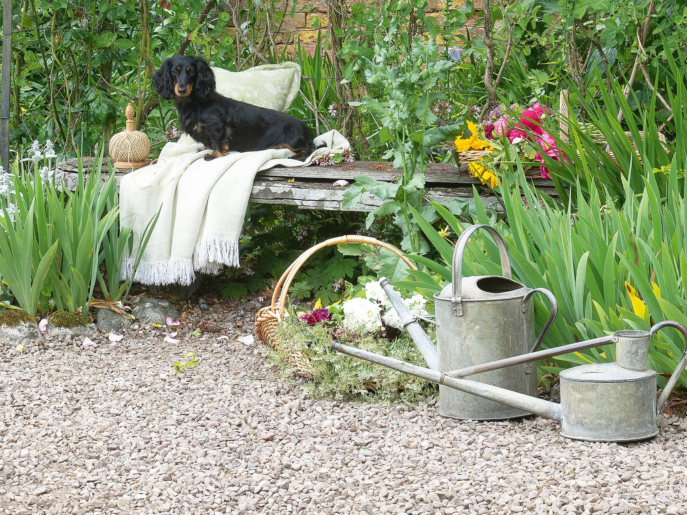 Front Yard Landscaping Ideas Gravel