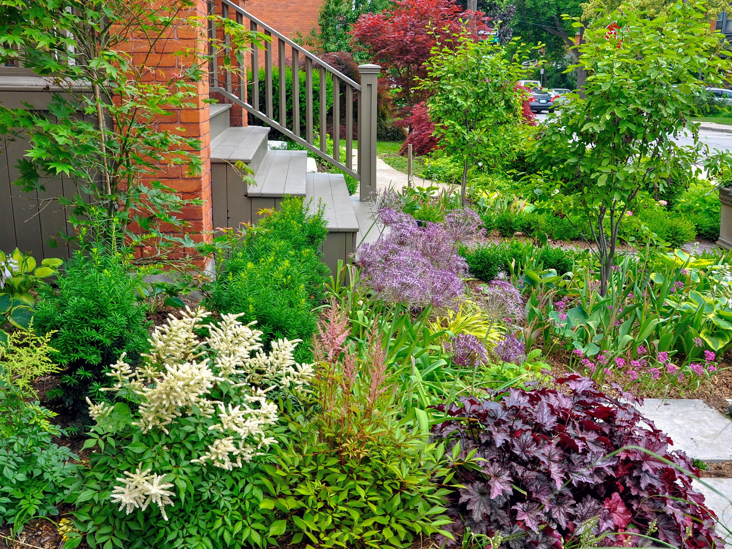 Large Front Yard Landscaping Ideas Low Maintenance Gardens - Infoupdate.org