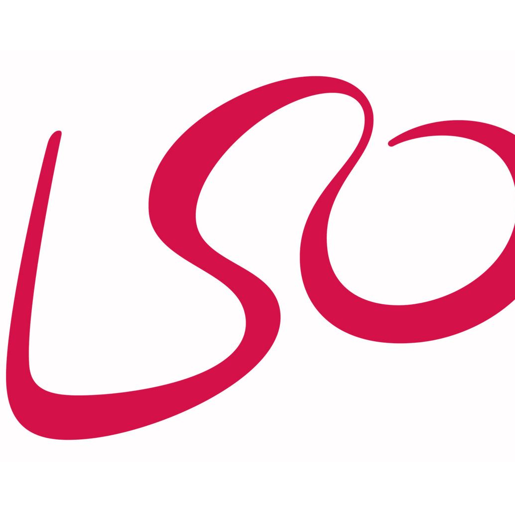 Red V Logo Three Letters