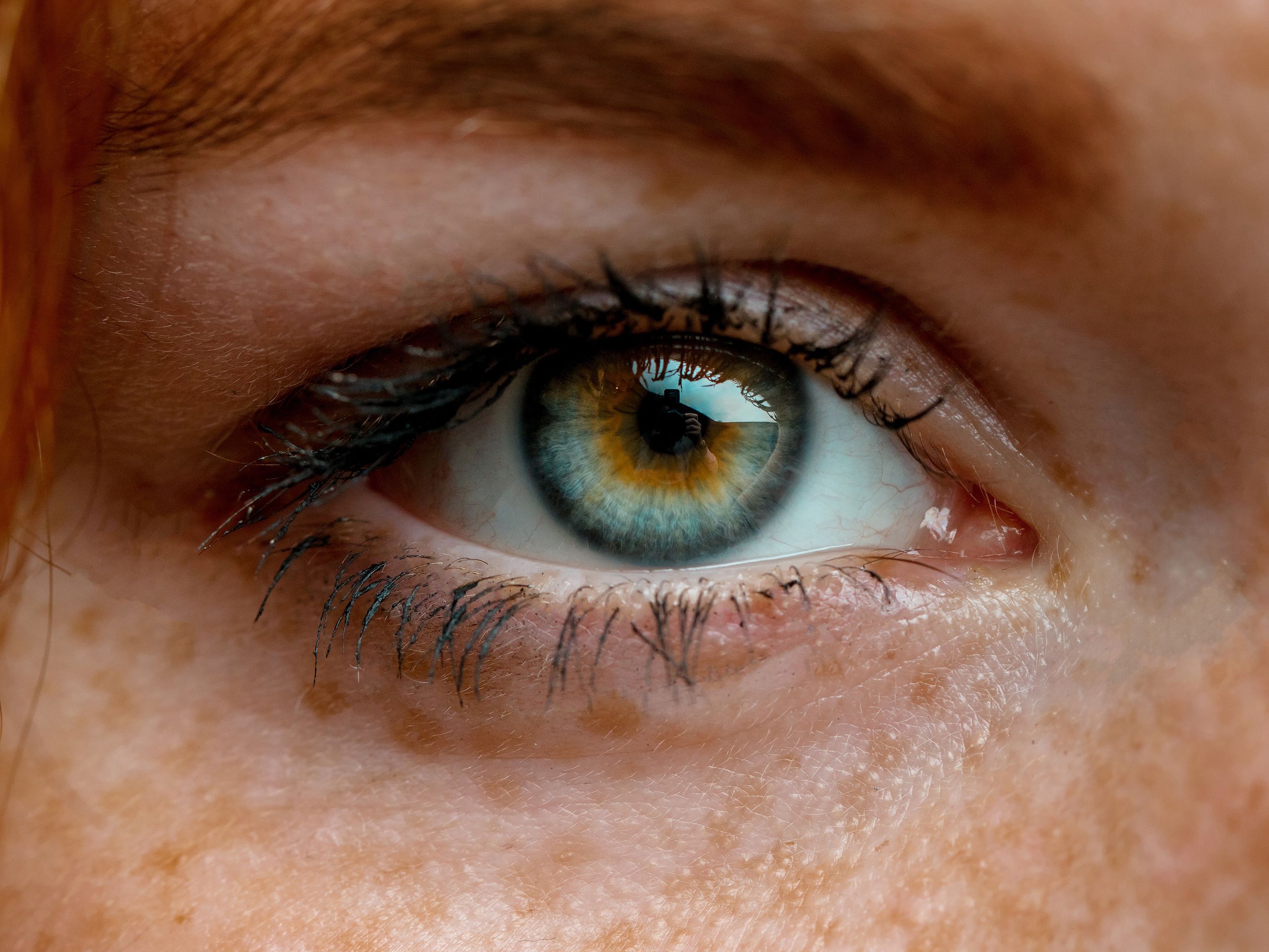 What Is The Refresh Rate Of Human Eyes In Inches - Infoupdate.org