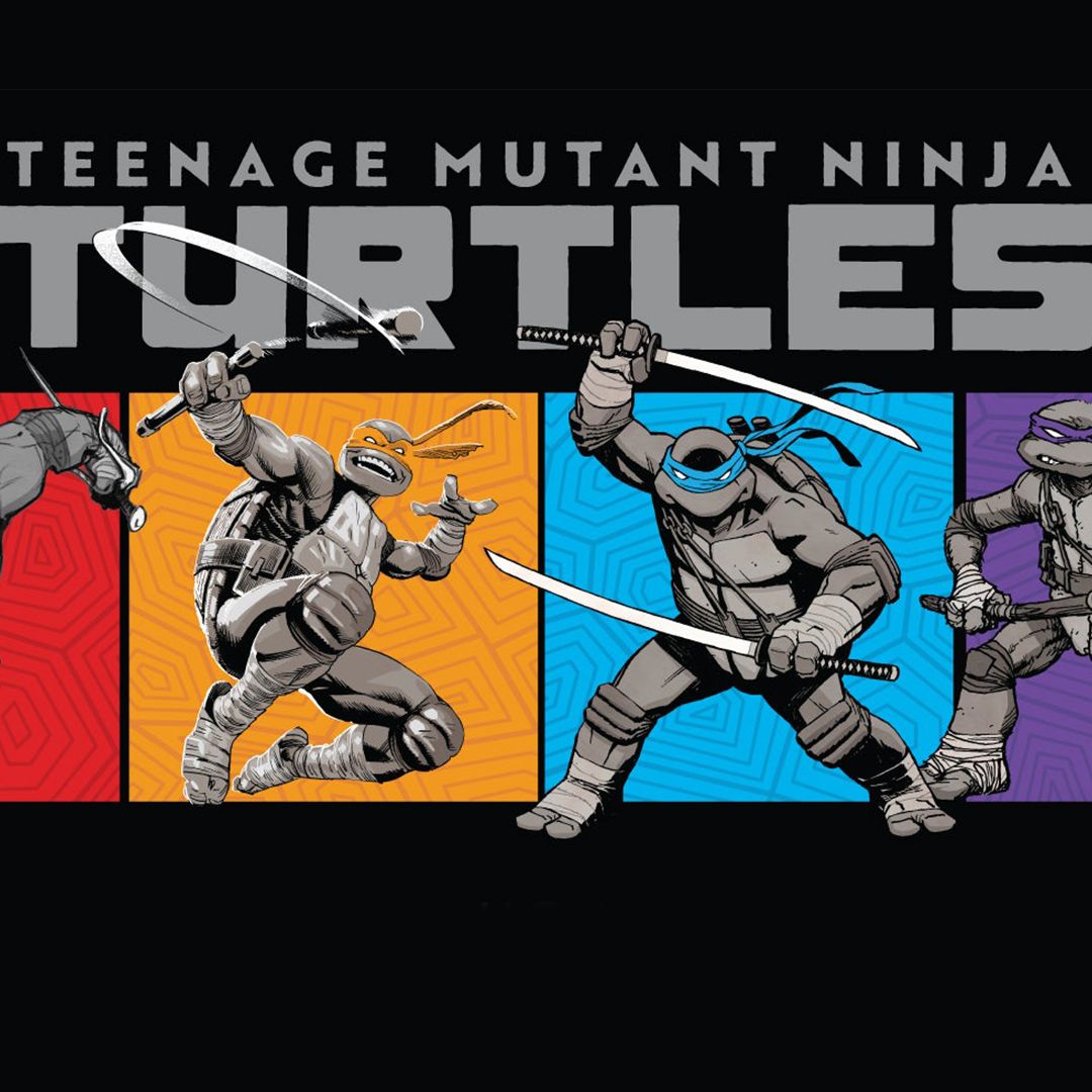 Teenage Mutant Ninja Turtles Artists