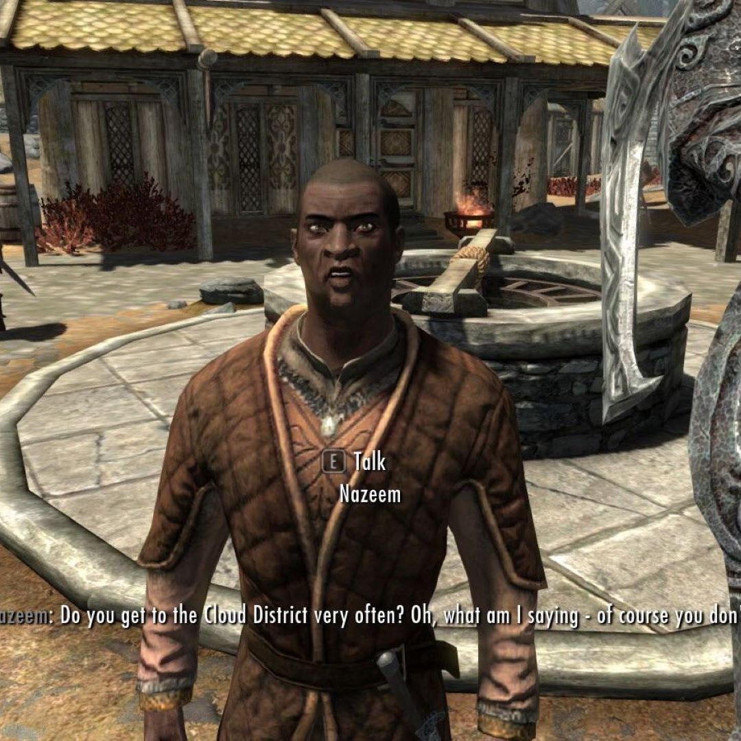 Skyrim Annoying Npc Quotes