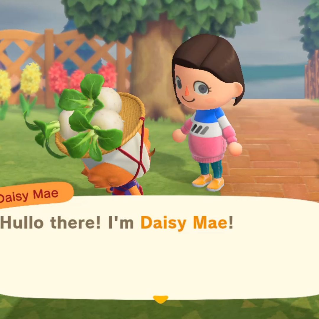 Animal Crossing Daisy