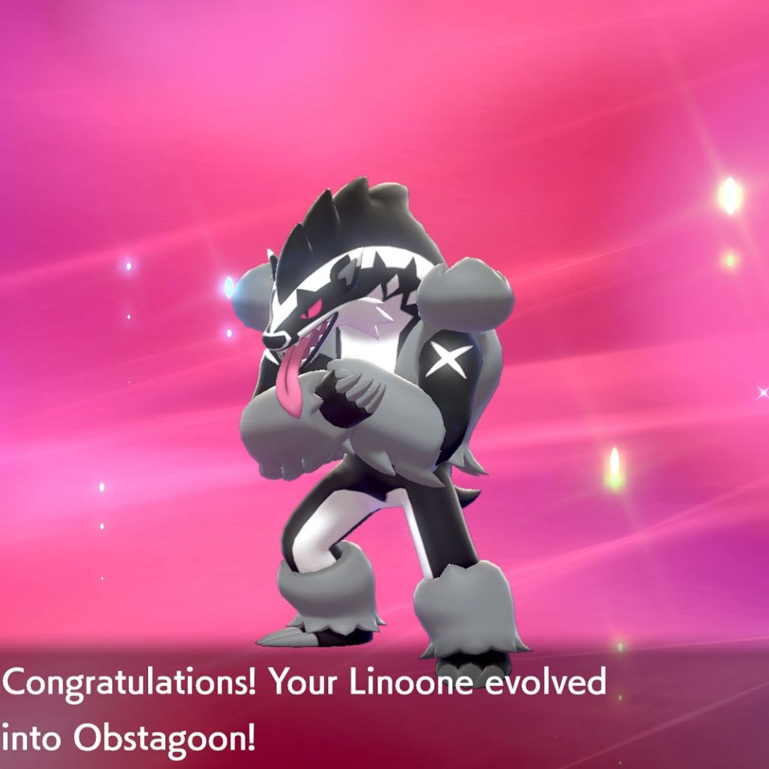 Pokemon Linoone Evolution