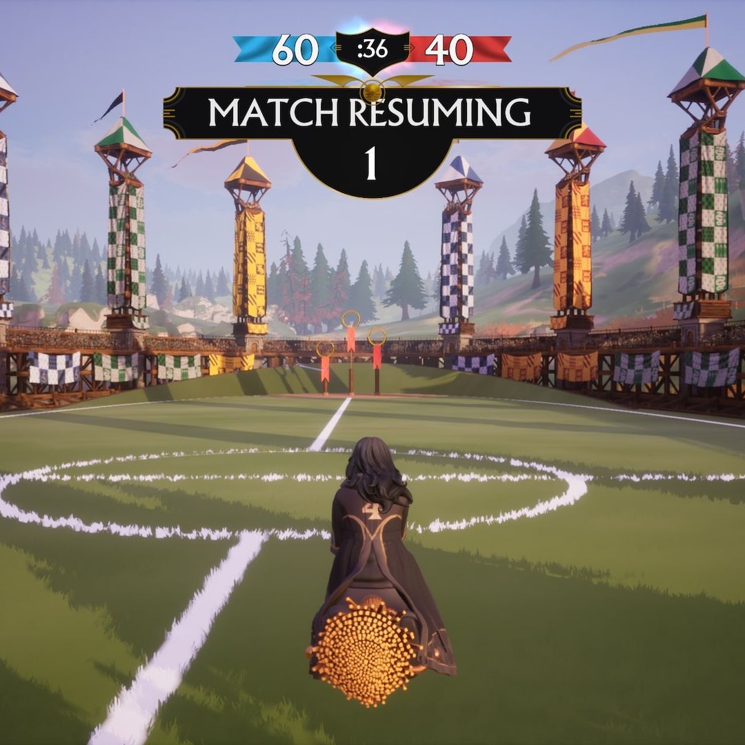 Quidditch Harry Potter Quidditch Quidditch Positions