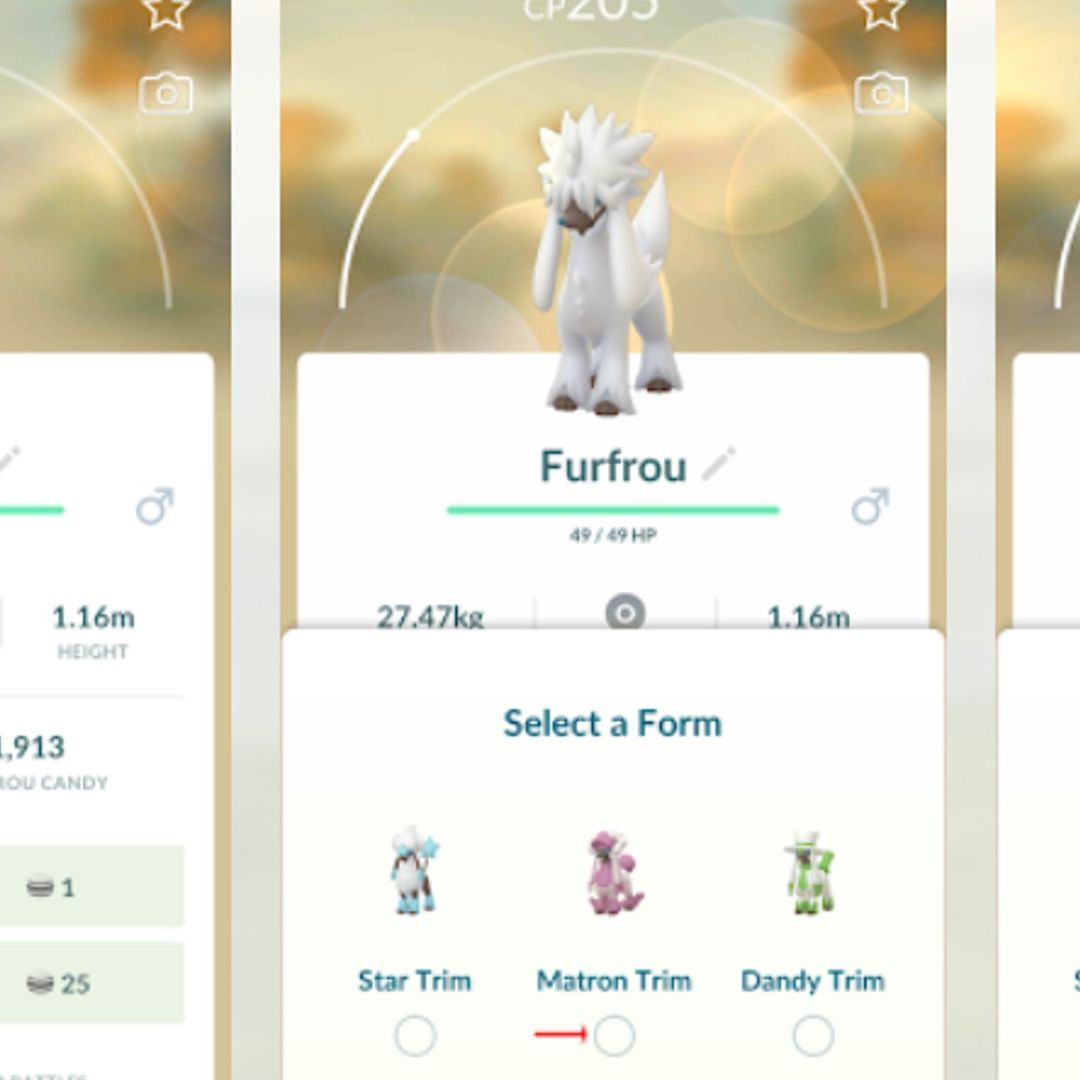 Furfrou Pokemon Evolution