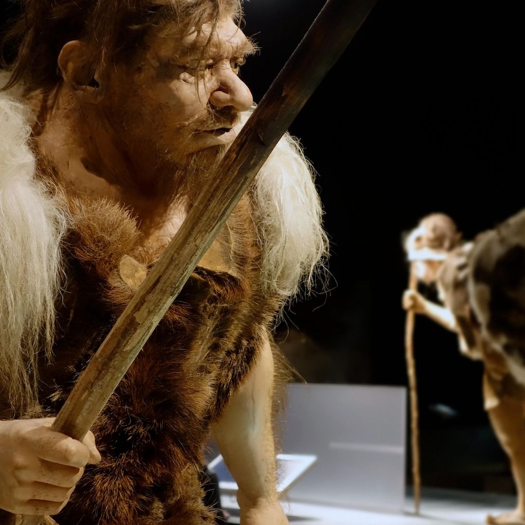 Did Neanderthals Make Clothes