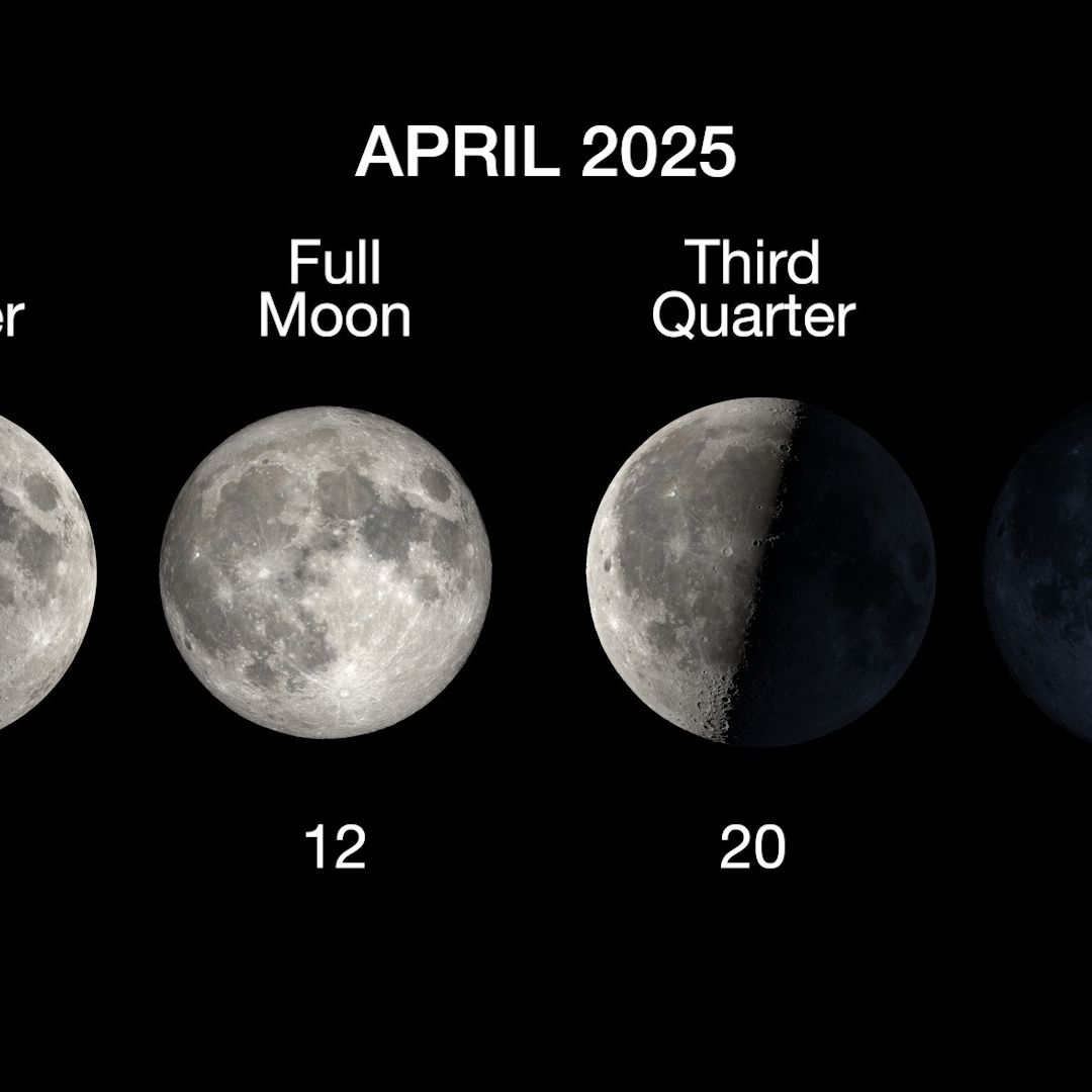 Lunar Cycle Moon Phases