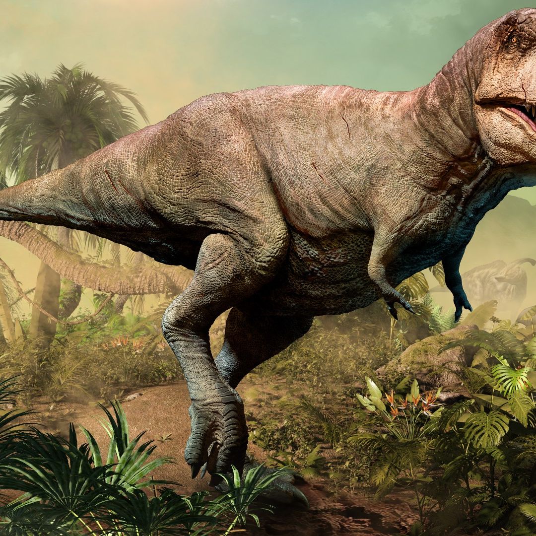 Mesozoic Era Jurassic Period