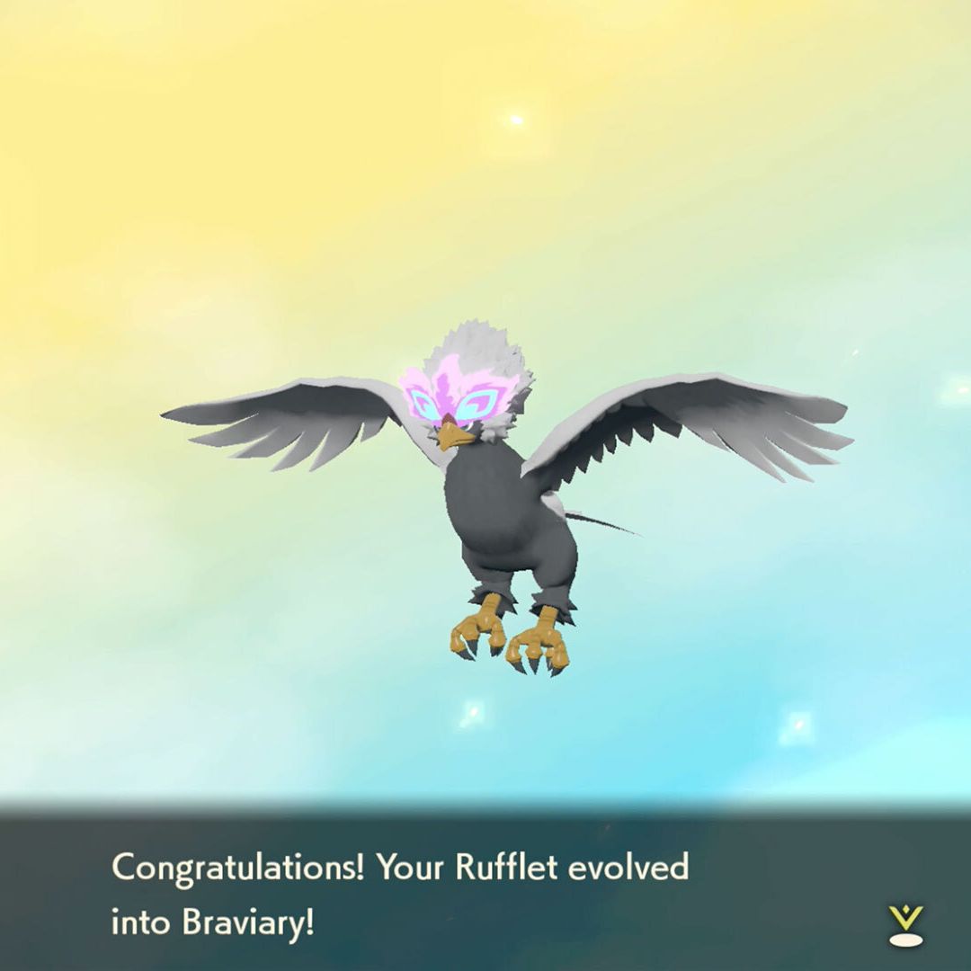 Rufflet Pokemon