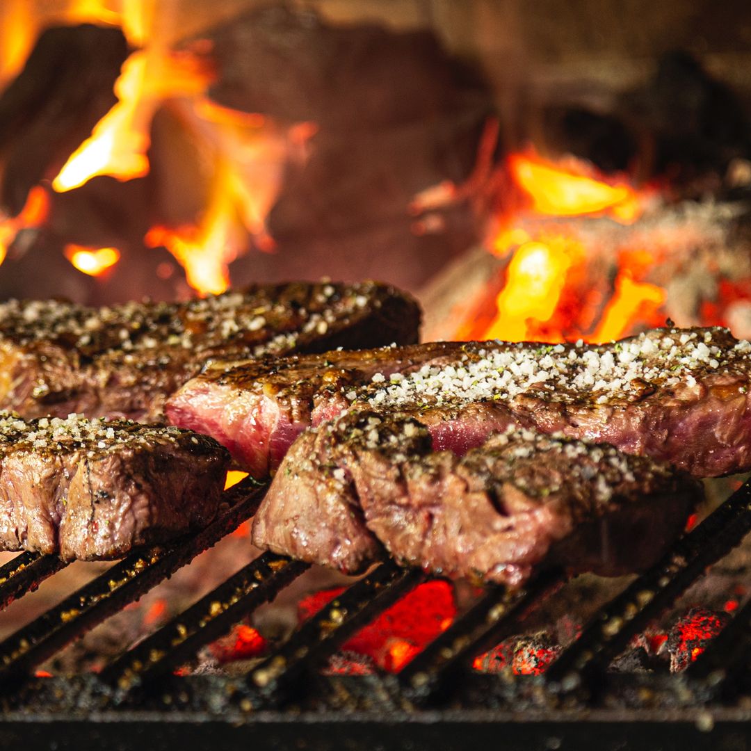 Best Outdoor Grills Design