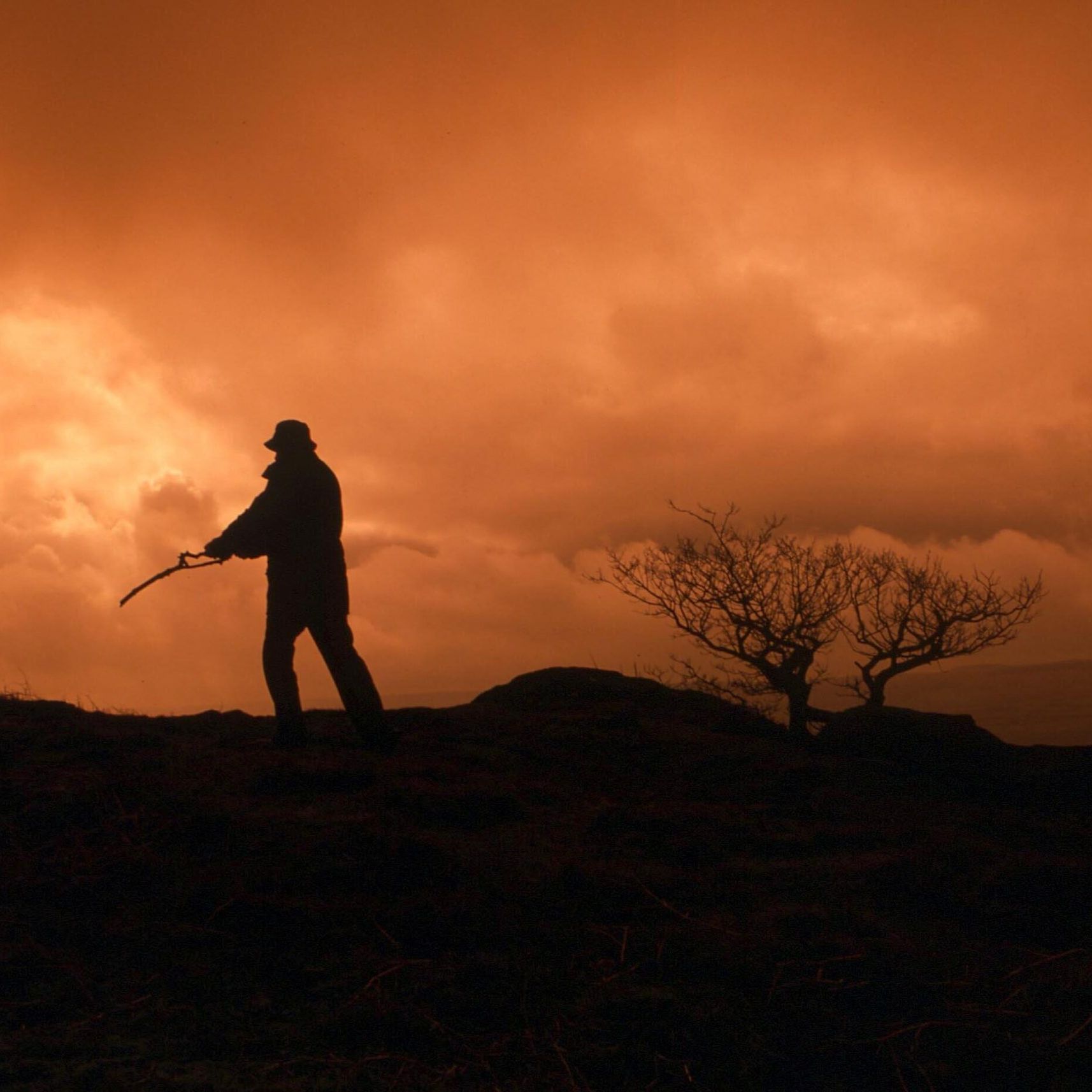 How Does Water Divining Work