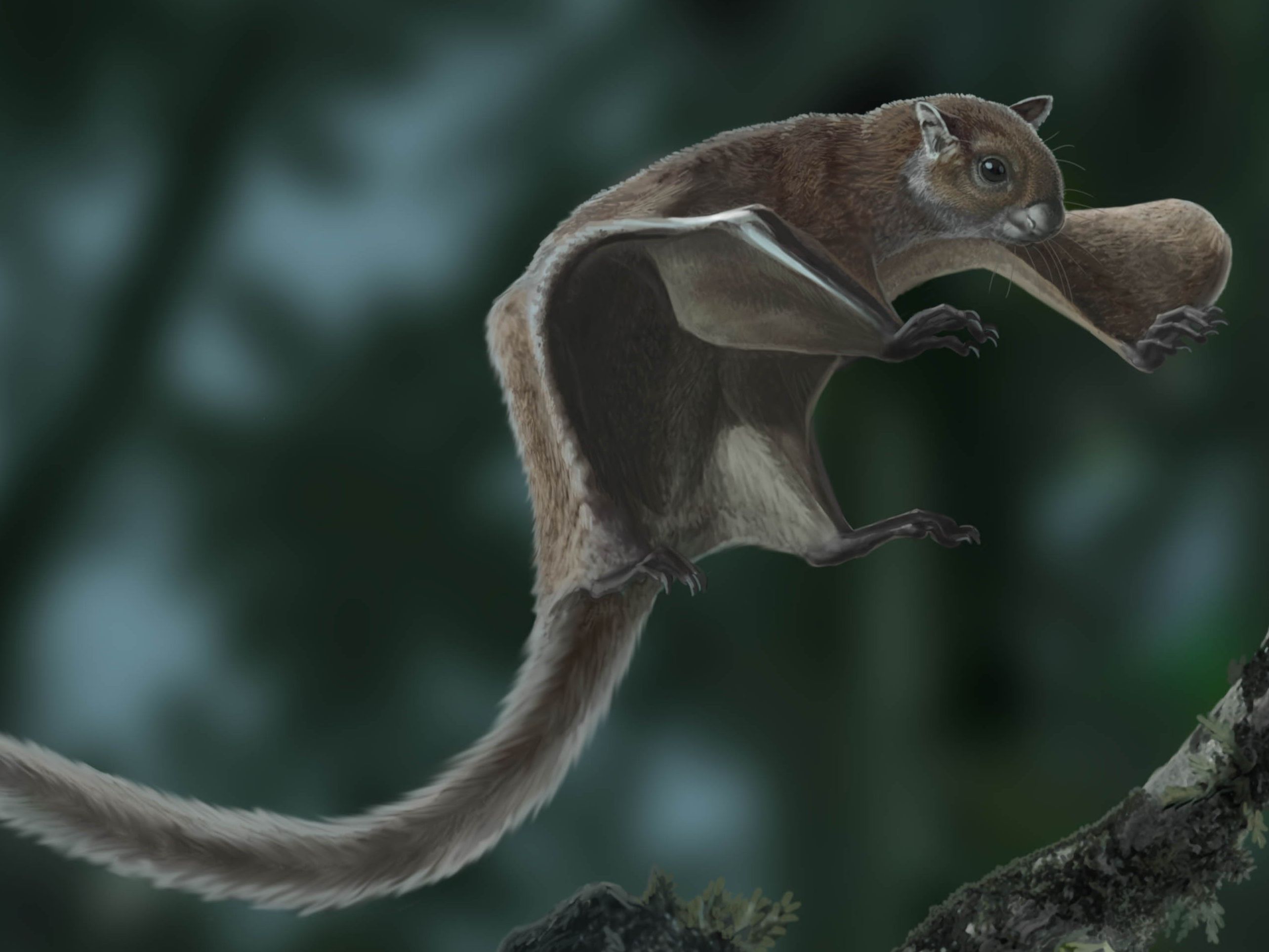 Flying Cats Institute