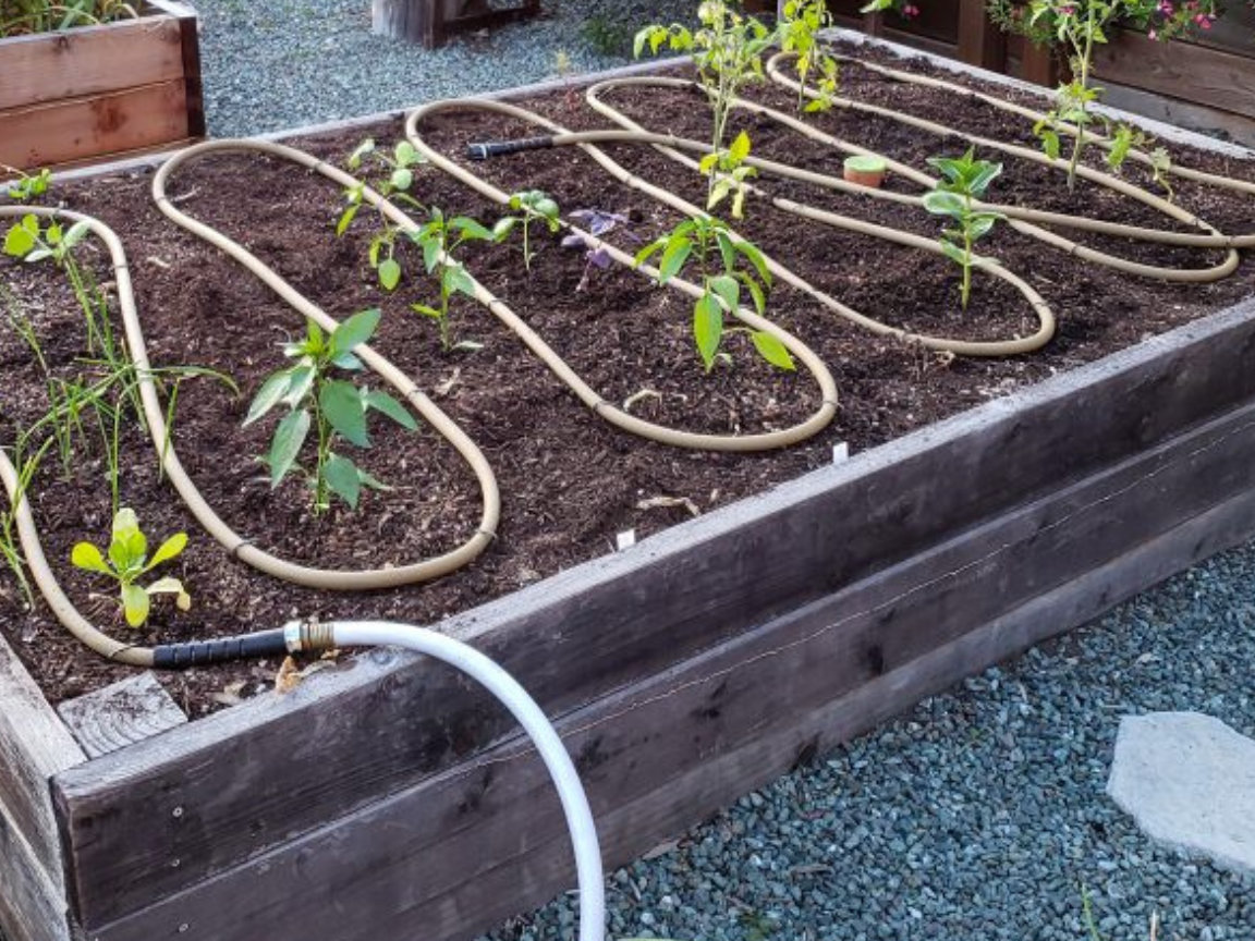 Home Drip Irrigation Systems