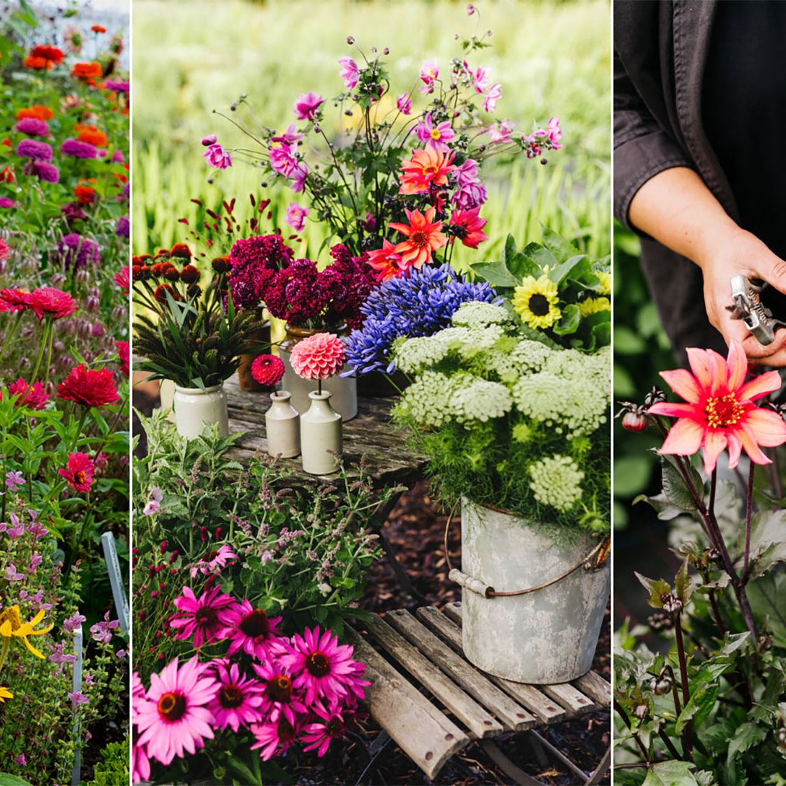 Planning Your Flower Garden Layout