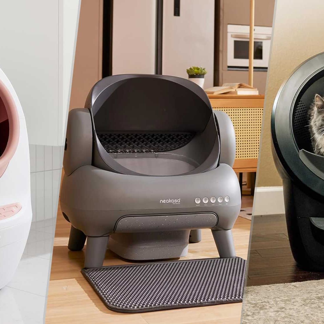 Top Rated Automatic Litter Boxes