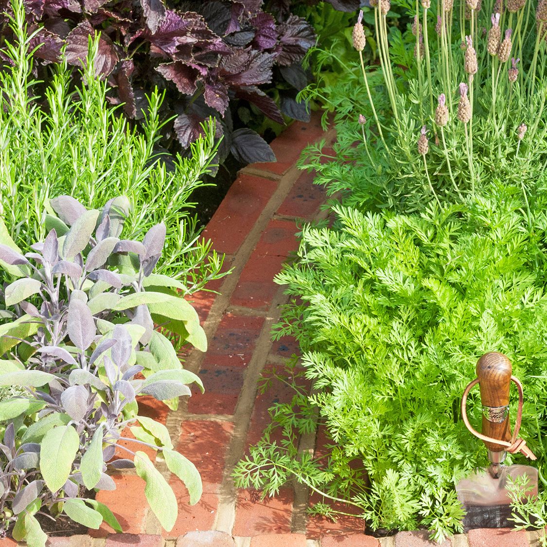 Design Herb Garden Ideas