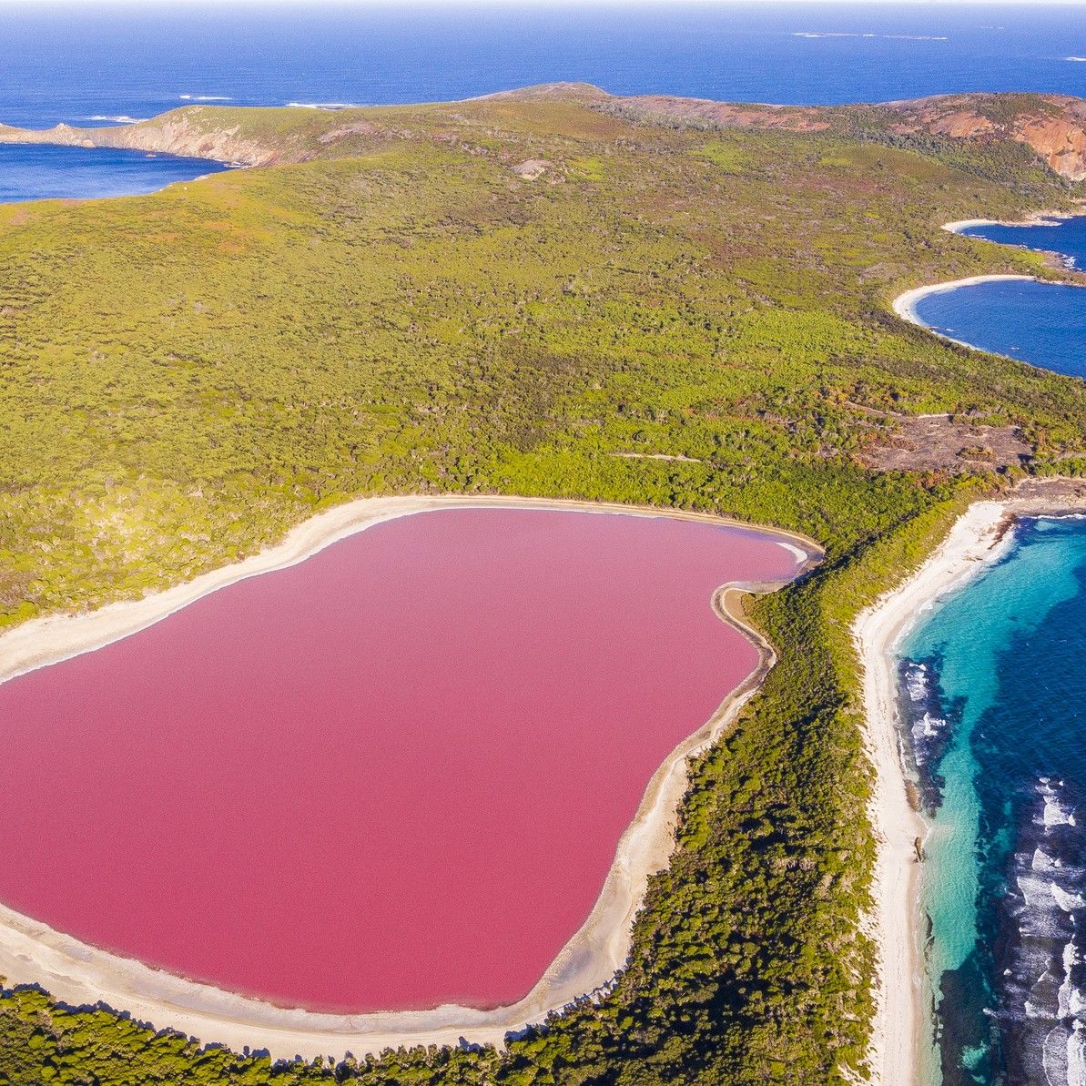 What Makes Lake Hillier Pink