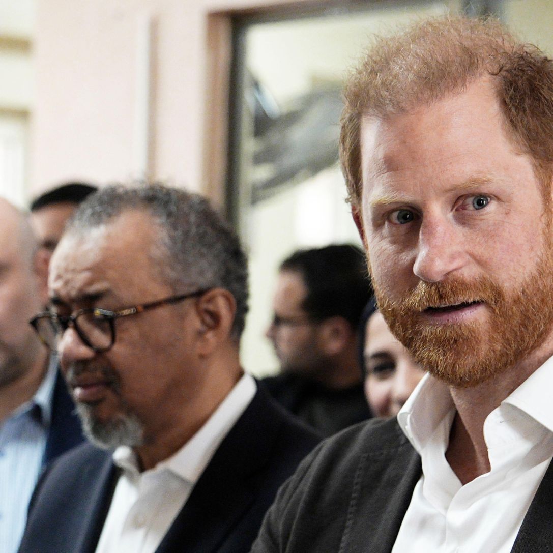 ROYAL FURY ERUPTS – HARRY HAS JUST AIDED OUTSIDERS, USED AS A “USEFUL ...