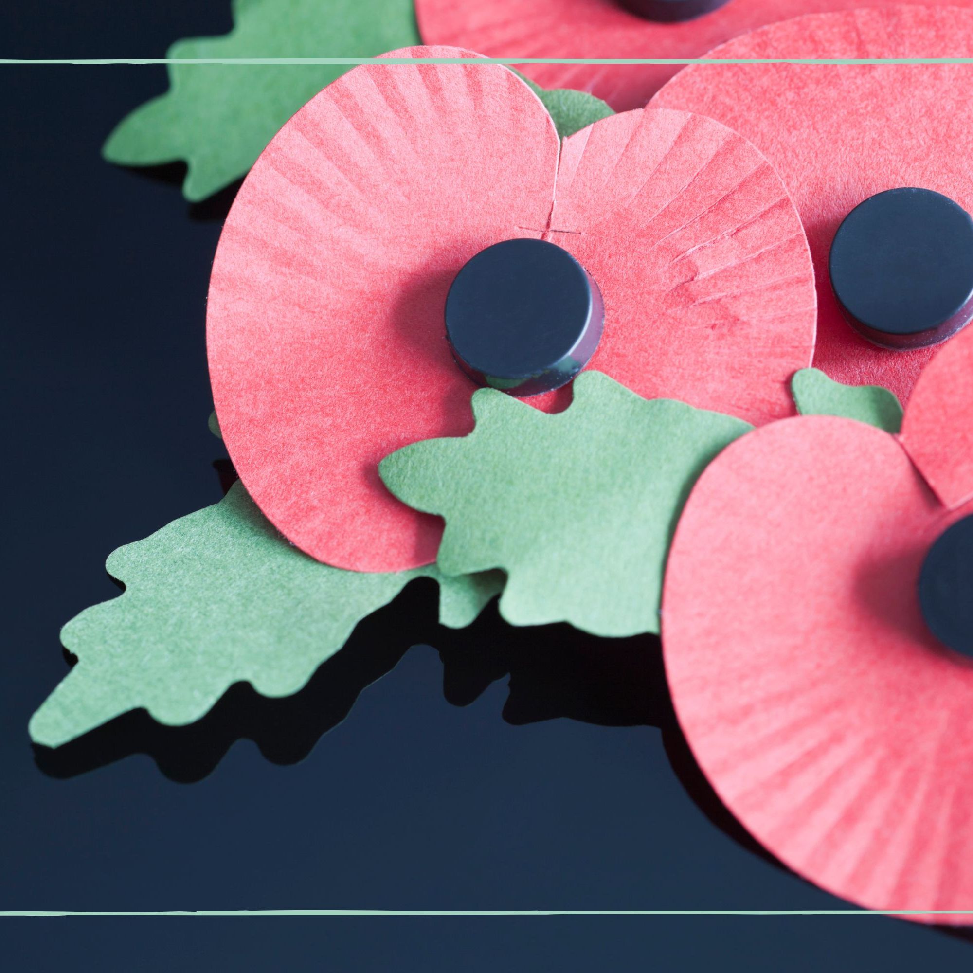 What Side Do You Wear A Poppy On Remembrance Day - Infoupdate.org